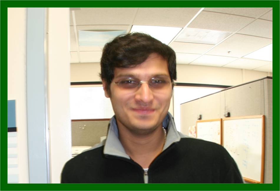 Prantik Kundu - Section on Functional Imaging Methods